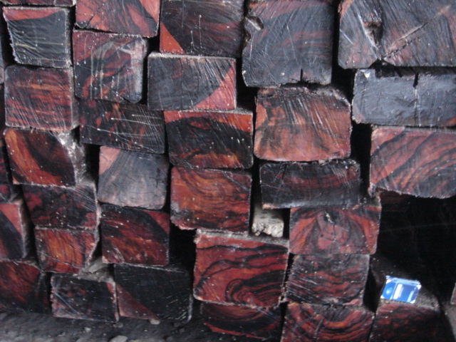 Figured Wood Sales | Macassar Ebony | Birdseye Maple | Quilted Maple