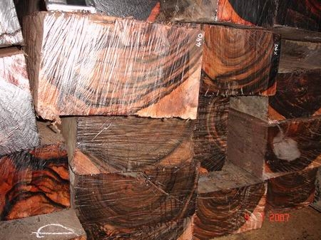 Figured Wood Sales | Macassar Ebony | Birdseye Maple | Quilted Maple