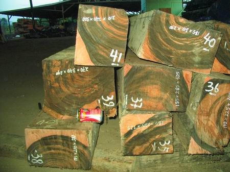 Figured Wood Sales | Macassar Ebony | Birdseye Maple | Quilted Maple