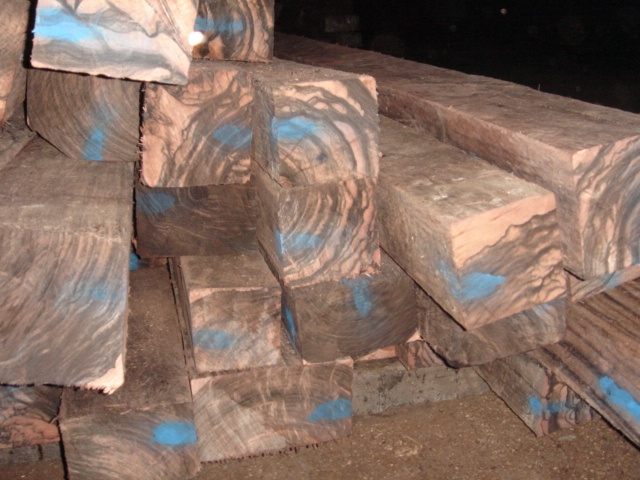 Figured Wood Sales | Macassar Ebony | Birdseye Maple | Quilted Maple